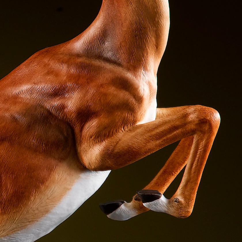 Prestige Animal Sculptures - Impala | Fine Bone China
